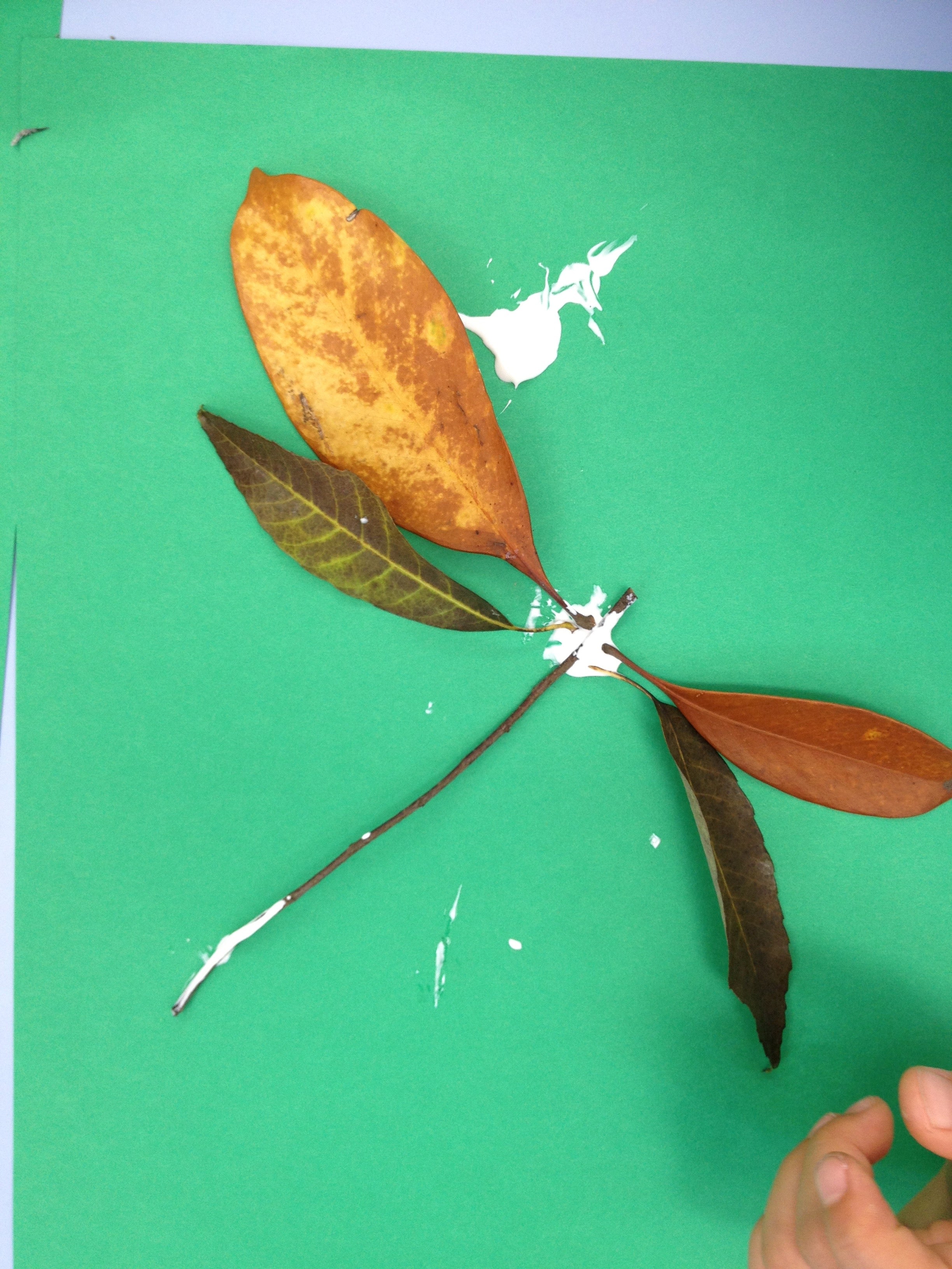 Dragonfly Craft Nature Craft – The Magic Crayons