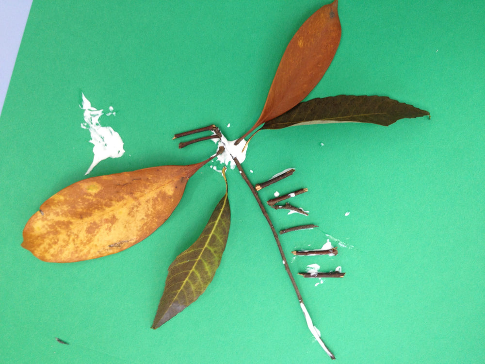 Dragonfly Craft Nature Craft – The Magic Crayons