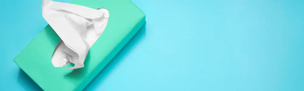 Free Phonics Games and Activities for the ESL English Classroom – The ...